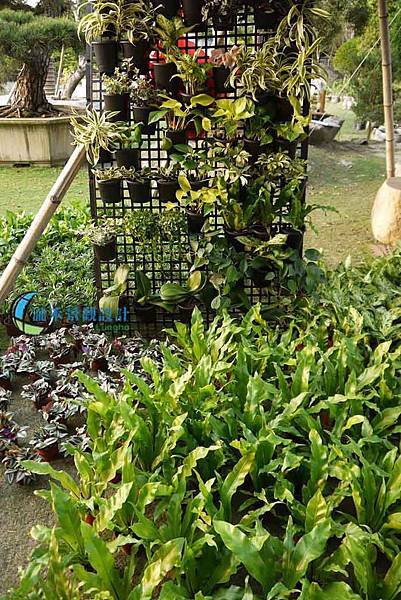 垂直花園綠色植生牆施工實例的誕生—彰化廠區 員工休息室 【瀧禾園藝景觀設計-植栽銷售、園藝資材】歡迎蒞臨本公司官網