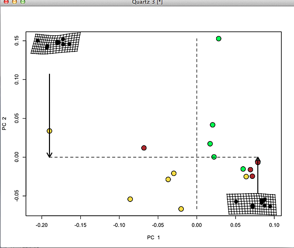 R geomorph－airbugs｜痞客邦