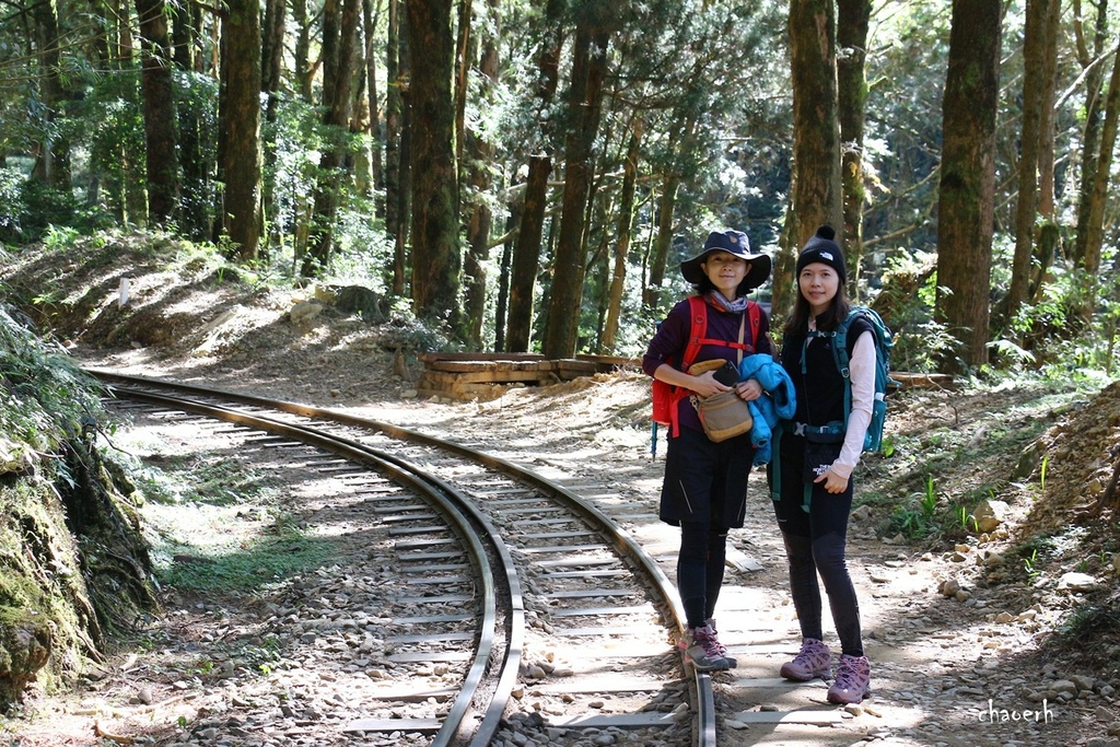 【健行】阿里山眠月線 森林鐵道－Chaoerh小昭的部落格｜痞客邦