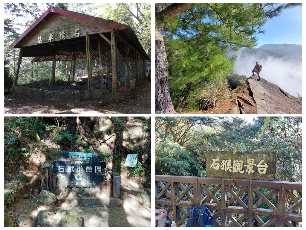 【健行】阿里山眠月線 森林鐵道－Chaoerh小昭的部落格｜痞客邦