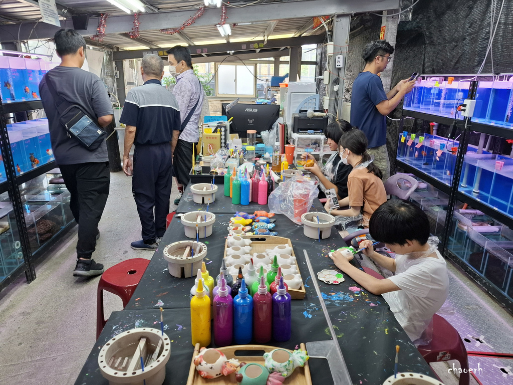 屏東-阿岳金魚 《 親子景點︱DIY彩繪︱全台最大觀光金魚養殖場 》－Chaoerh小昭的部落格｜痞客邦