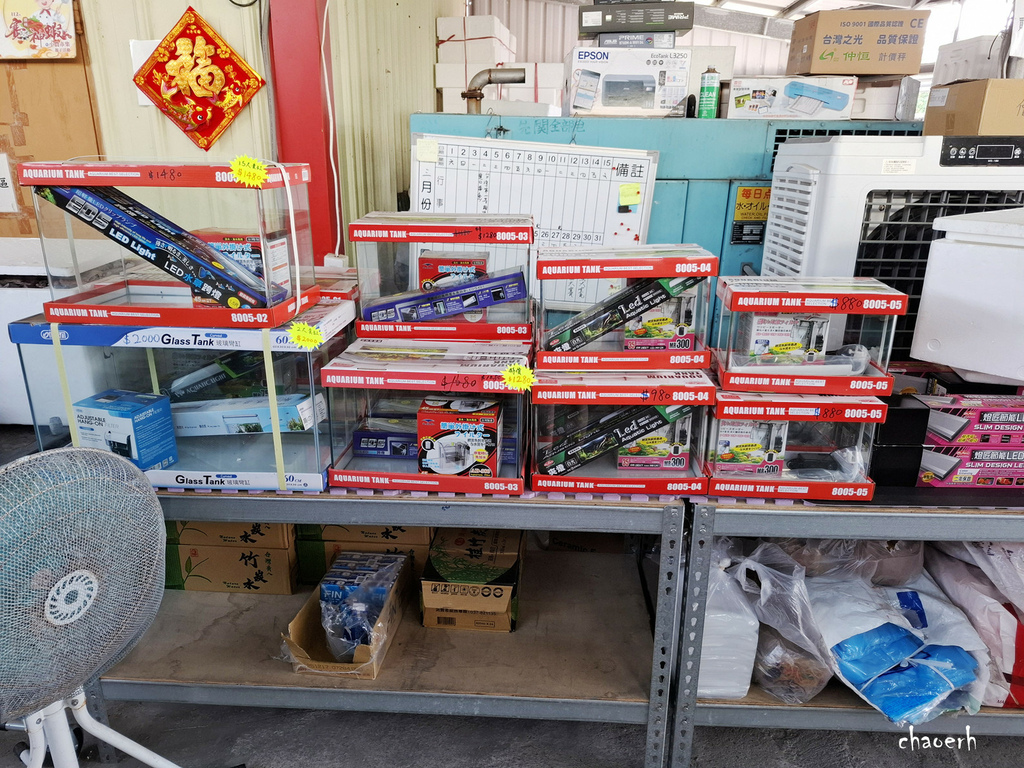 屏東-阿岳金魚 《 親子景點︱DIY彩繪︱全台最大觀光金魚養殖場 》－Chaoerh小昭的部落格｜痞客邦