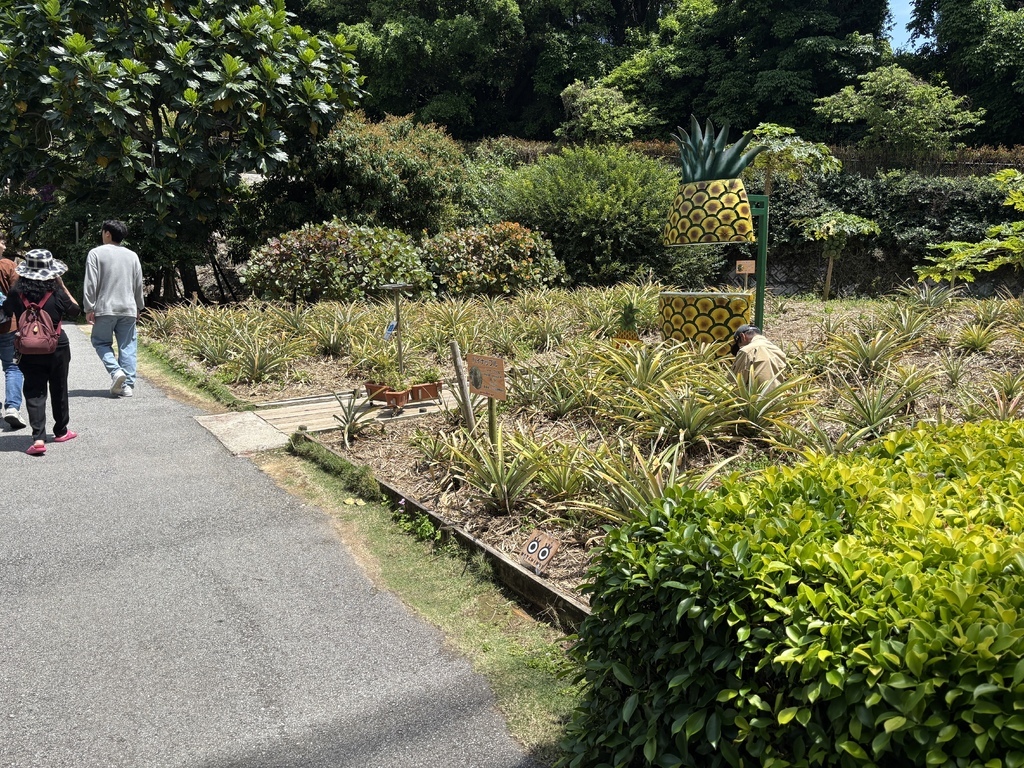 【玉泉洞評價】值得去嗎？最新完整攻略弄懂『門票優惠/開放時間/停留時間』！ Dcard與ptt推薦沖繩世界－評論心得分享與優惠折扣碼｜痞客邦