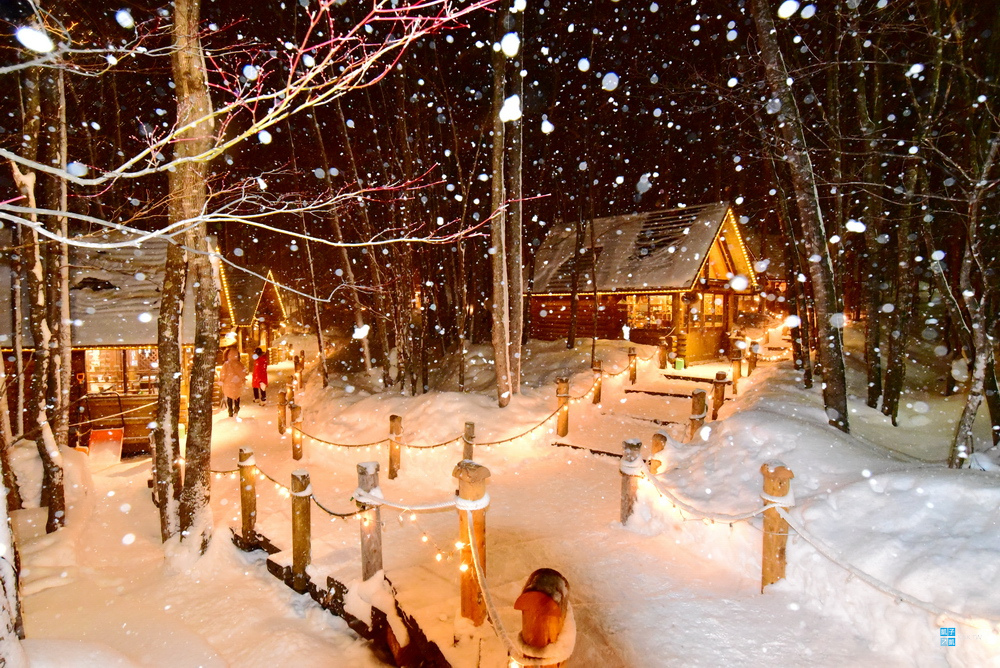 【北海道】新富良野王子飯店的「森林精靈露台」(Ningle Terrace ニングルテラス) & 「富良野歡寒村」冬天雪景與活動 @ 日本自助 ...