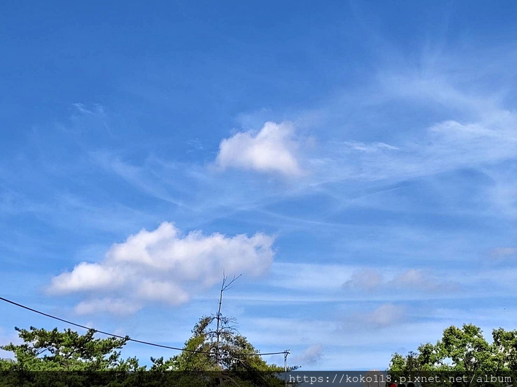 114.6.20 荷花盛開時.....－繁星的冥想世界｜痞客邦