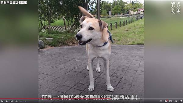 Dcard事件回應－langlangdontcry｜痞客邦