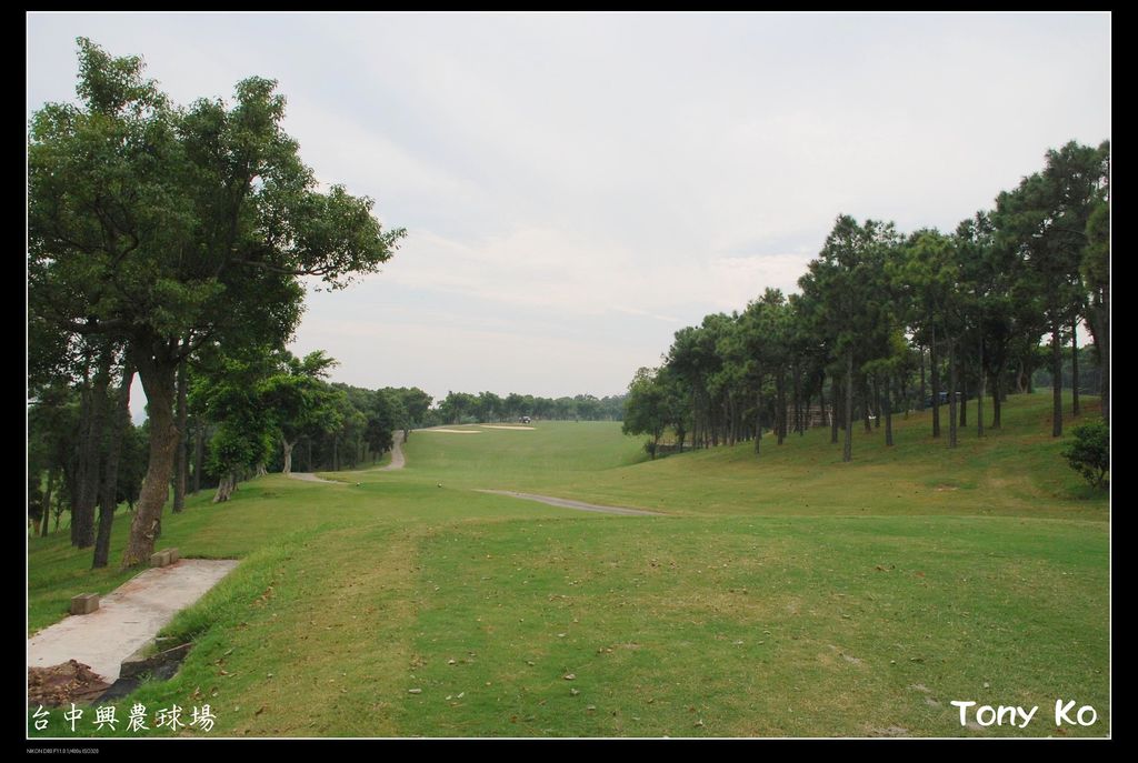 台中市-興農高爾夫球場 - 興農球場西區 第6洞 PAR5 545碼 難度 1.jpg－tonyko的相簿｜痞客邦 PIXNET