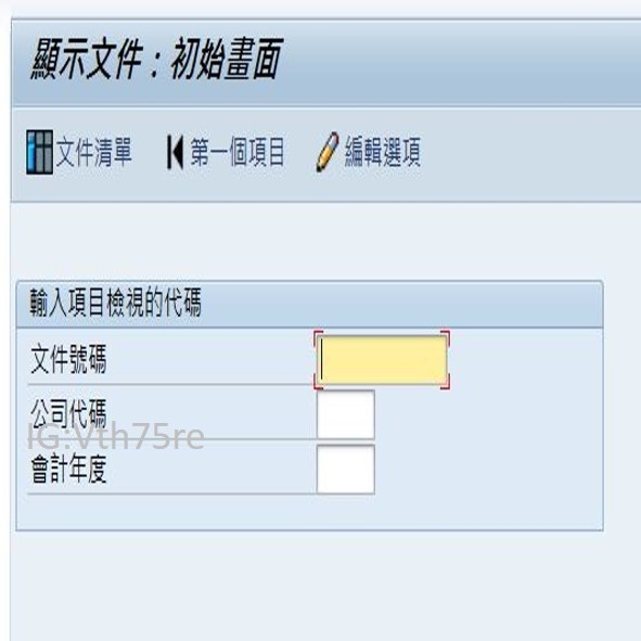 FB03 - Sap Tcode 教學與簡介－SAP & EXCEL & Accounting (IG: vth75re)｜痞客邦